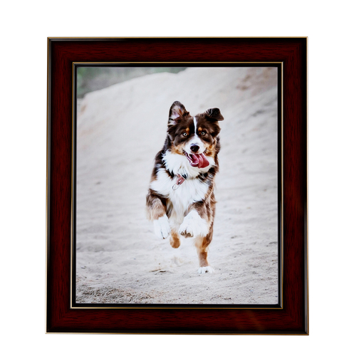 20x42 Honors Mahogany with Gold Strip - Glossy Picture Frame